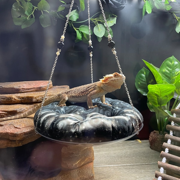 Bearded Dragon Lizard Pillow Swing; Papasan Style, Multiple Sizes ...