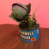 Massive Life Size Audrey 2 Replica Movie Prop Little Shop of Horrors ...