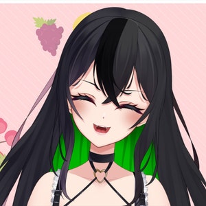 Customizable Vtuber/premade Live 2D Vtuber Model Cute Elf - Etsy UK