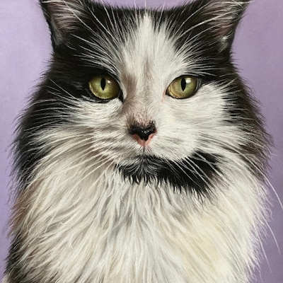 Cockapoo Watercolour Painting Original Hand Painted Framed Pet Art - Etsy