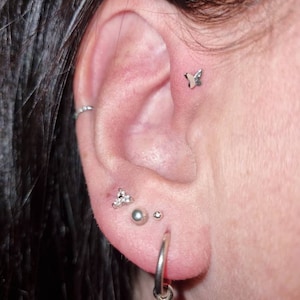 Butterfly Piercing Gold Helix Piercing Gold Conch Piercing Sterling ...