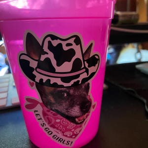 Bridal Wedding Veil Last Rodeo Bachelorette Bridal Shower Gift ...