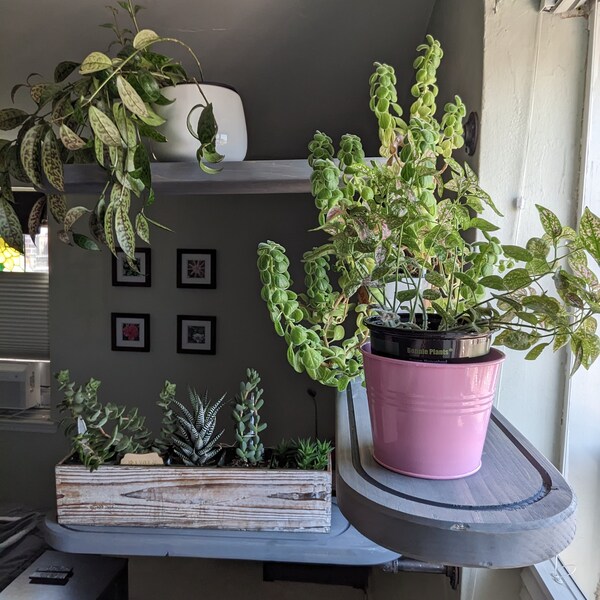 Three Tier Swivel Shelf With Drip Groove for Window or Wall, Industrial ...