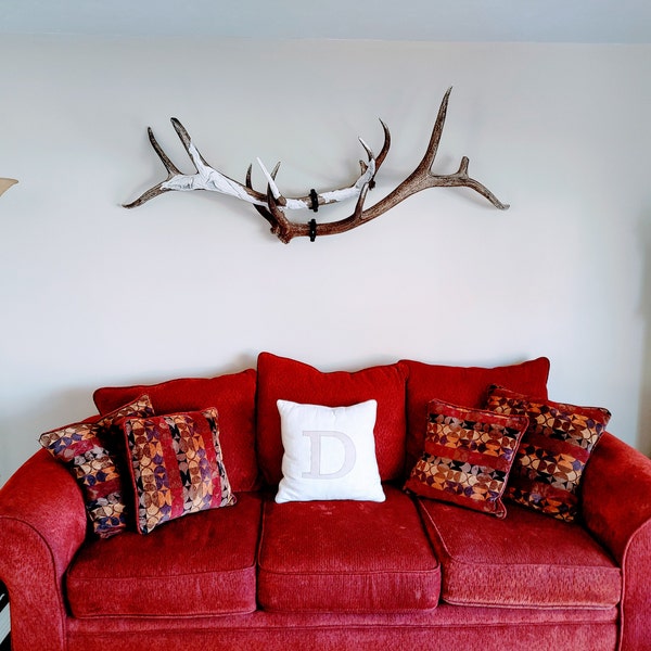 Elk Antler Mounting Clamp, Shed Display (small, Medium, Large) - Etsy