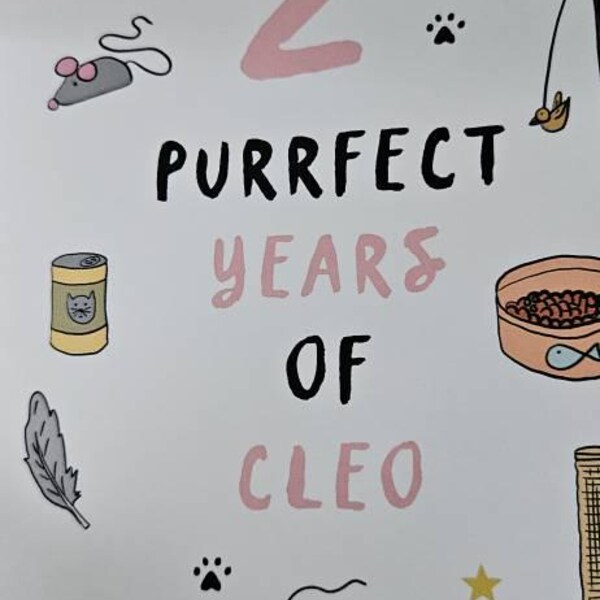 Funny Birthday Card, Friend Birthday Card, Best Friend Card, Fussy ...