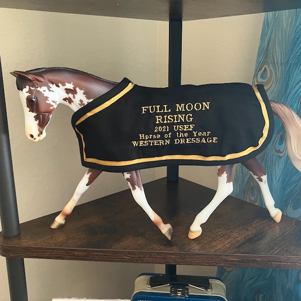 JET DECK With Fully Lined Blanket American Quarter Horse AQHA Champion ...