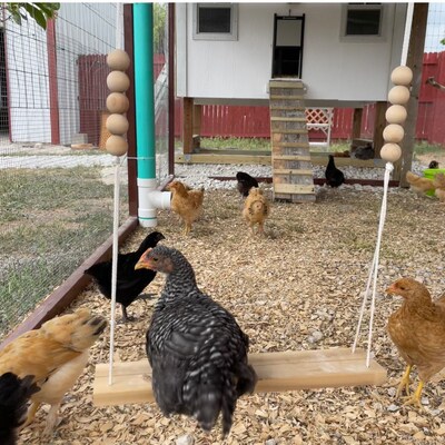 Backyard Barnyard Chicken round Bar Handmade in USA Wood Perch Ladder ...