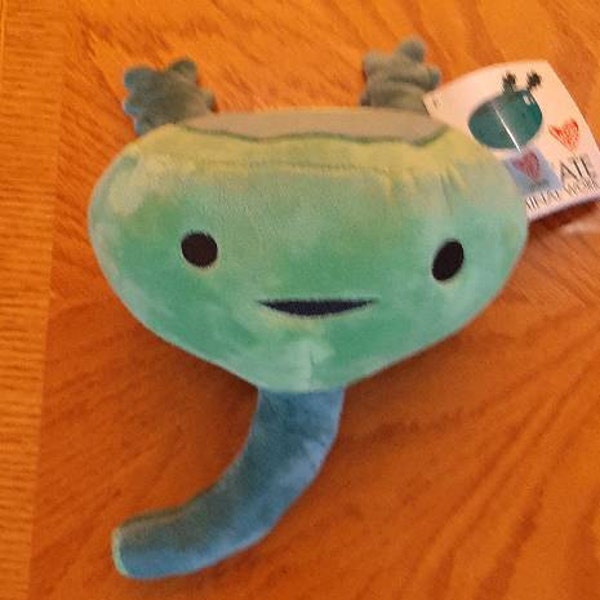 Colon Plushie You Move Me I Heart Guts Organ Stuffed Toy Pillow Surgery ...