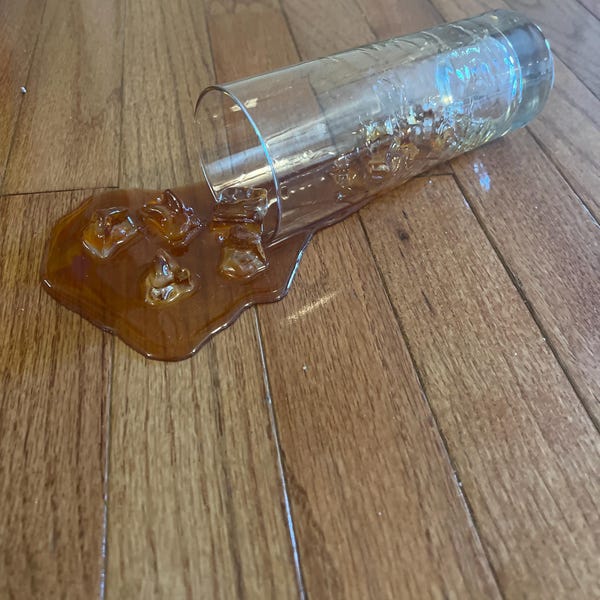 Realistic Fake Turkey - Etsy