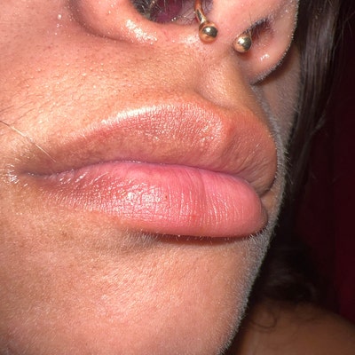 14K Solid Gold Horseshoe Nose Septum Ring/daith Earrings/tragus Jewelry ...