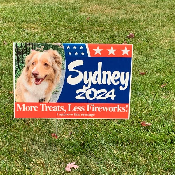 Presidential Funny Humorous Yard Sign - Etsy