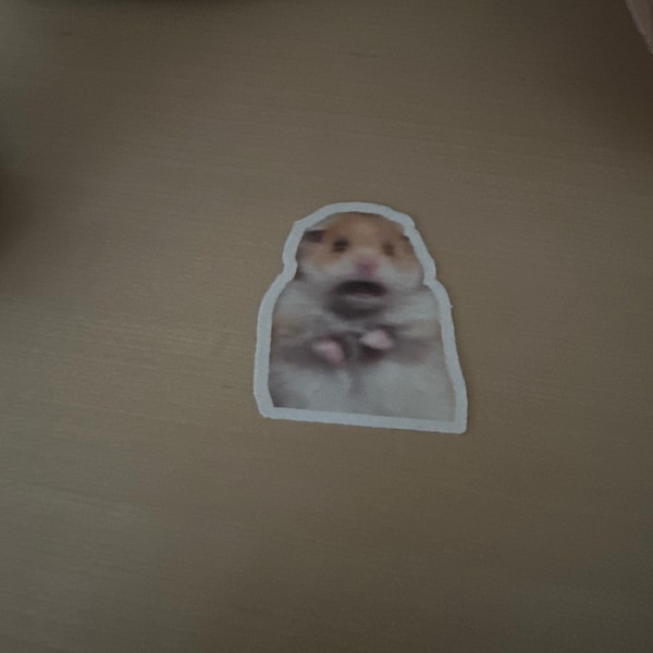 Surprised Shock Hamster Meme Funny Car Bumper Sticker Interior or ...