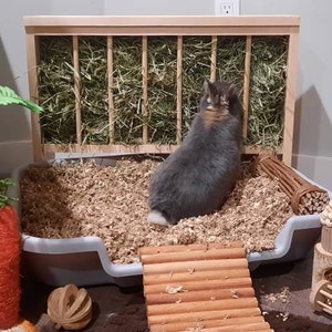 Small Vertical EZ Entry Hop Box: Rabbit Bunny Easy Entry Hay Feeder and ...