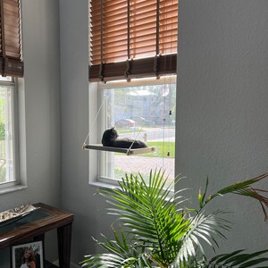 Cat Window Perch, Cat Window Hammock, Cat Window Ledge, Cat Window Bed ...