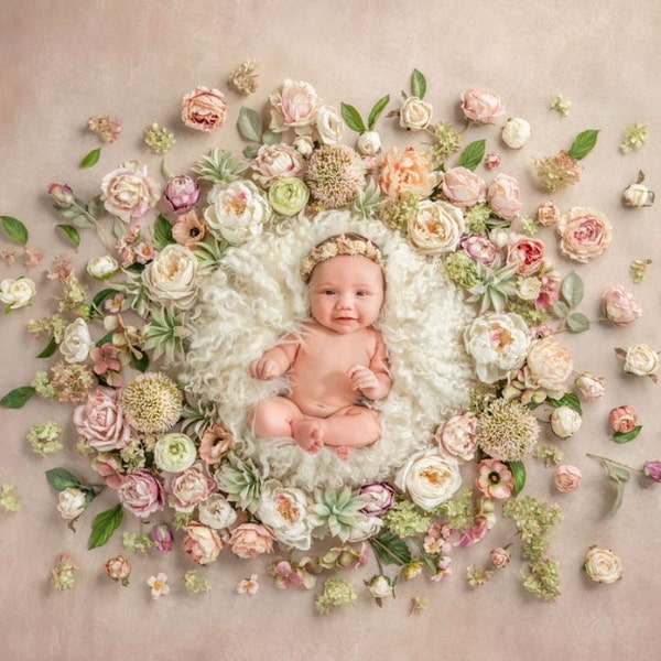 Newborn Digital Background, Newborn Digital Backdrop, Floral, Peach ...