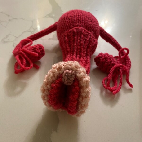 Uterus Knitting Pattern - Etsy