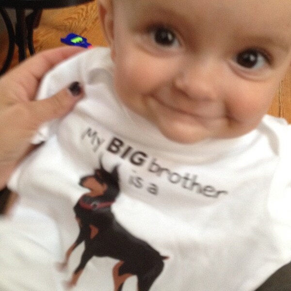 My Big Brother is a Doberman Dog Baby Onesie Baby Shower Gift Baby ...