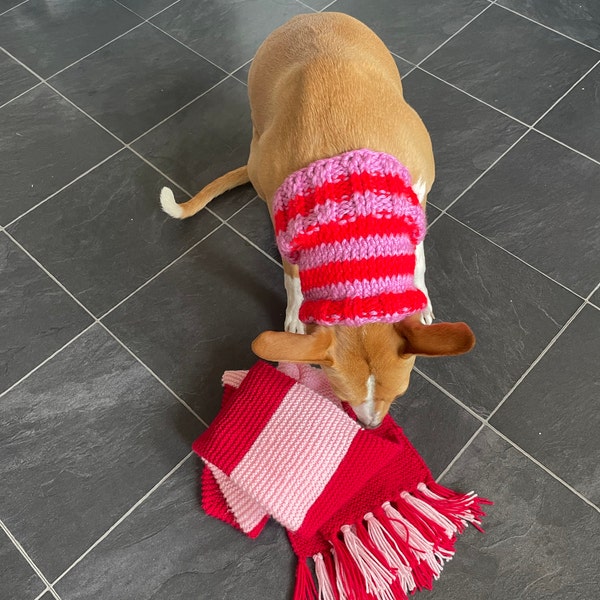 Chunky Knit Snoods | Greyhound | Lurcher | Whippet - Etsy