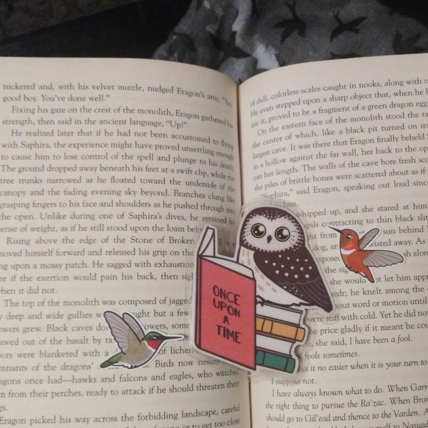 Ohio - Printable Backyard Birds of Ohio Field Guide Print - Bird Art ...