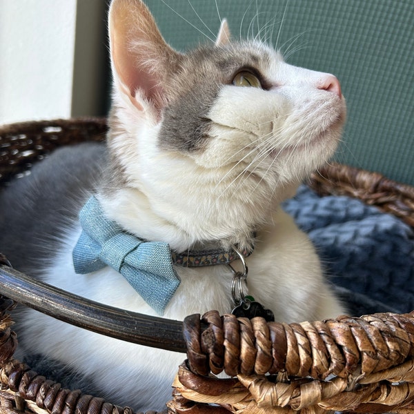 Cat Collar the Ringleader Cat Collar Bright Pink Velvet - Etsy