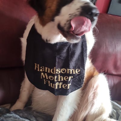 Big Dog Slobber Drool/slobber Bibs 2 Designs - Etsy