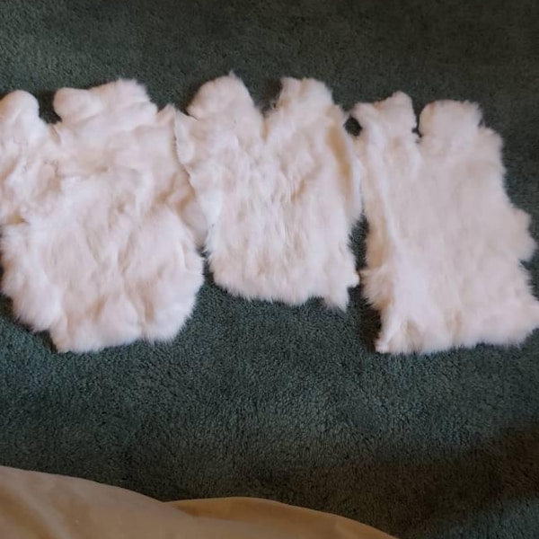 Brown Rabbit Hide - One Jumbo - Natural Rabbit Fur - Lot No. 230125-I ...