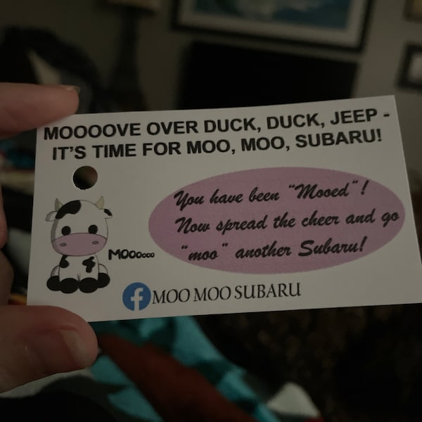 Moo Moo Subaru Starter Pack - Etsy