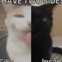 Court Style Kig Head Commission Fursuit Mask Kigurumi Head, Kig Head ...