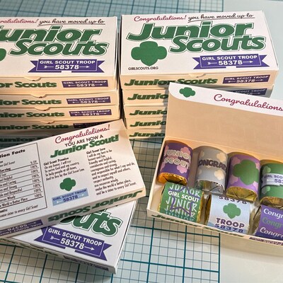 Girl Scout Perfect Attendance Certificate/award Printable Editable ...