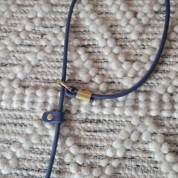 Biothane® Waterproof Rolled Slip Lead - Etsy