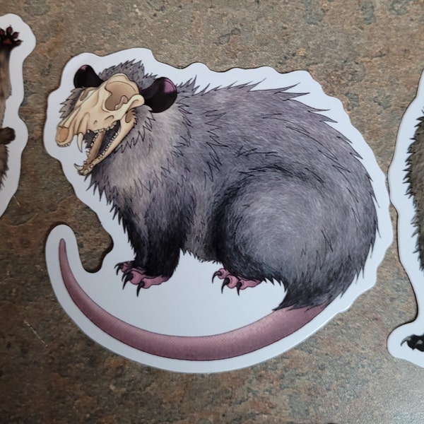 Boney Babies - Cute Animal Skull Vulture Culture Matte Stickers Choice ...