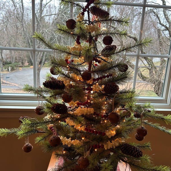 Set of 6 Spike Taper Candle Holders for Floral Arrangements, Black ...