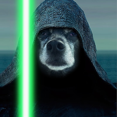 Custom Star Wars Pet Portrait, Luke Skywalker Dog Portrait, Star Wars ...