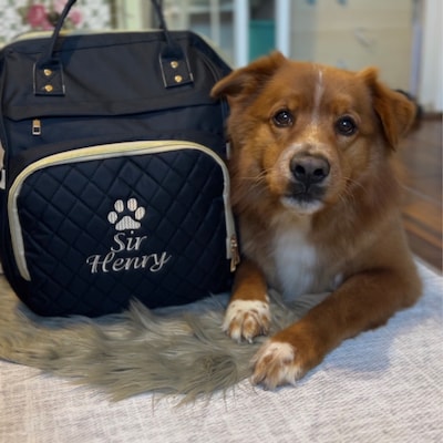 Personalized Pet Tote Backpack Pet Bag Personalized Dog - Etsy