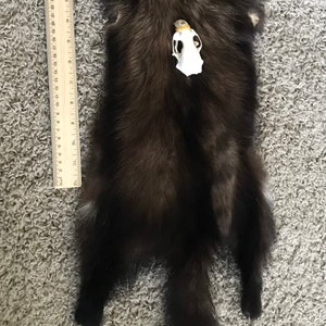 Buffalo Horn Fish Whistles Bff1600fwh - Etsy