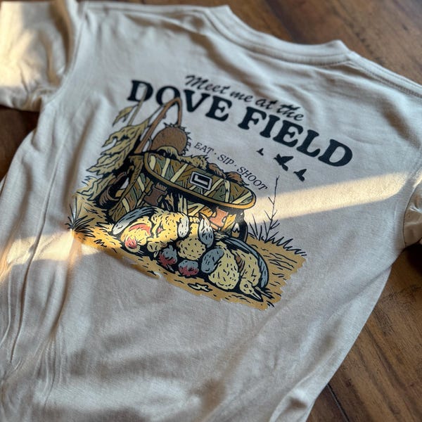 Blue Chinoiserie Bow Ready to Press, Blue and White Coquette Bows Dtf ...