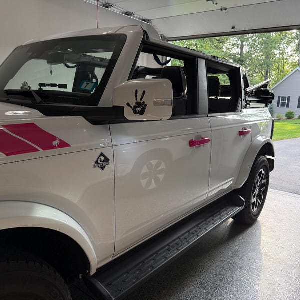 2017-2020 Ford Raptor Dual Hood Stripes W/ Pinstripes Vinyl Graphics ...