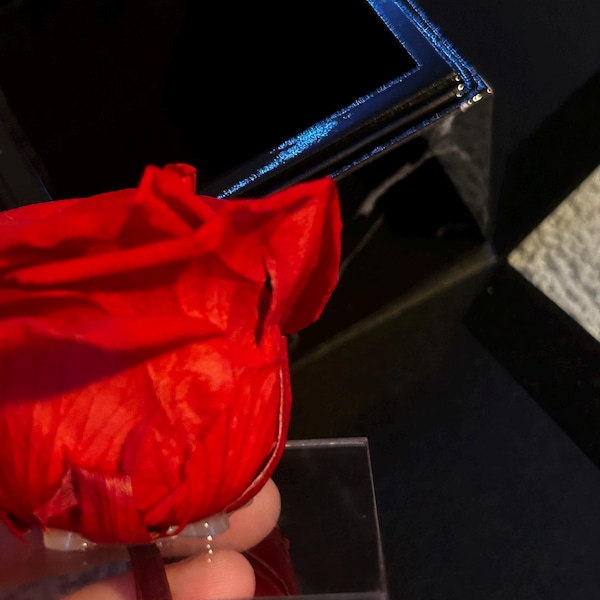 1pc Preserved Rose Box - Eternal Rose - Mothers Day - Single Floret ...