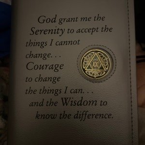 NA Tree of Life Anniversary Recovery Coin Medallion Narcotics Anonymous ...