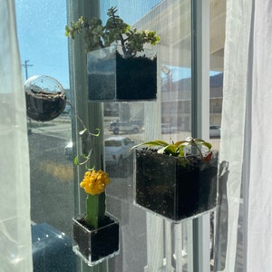 Suction Cup Window Planter 2 Inch Cube Style Planter That Attaches to ...