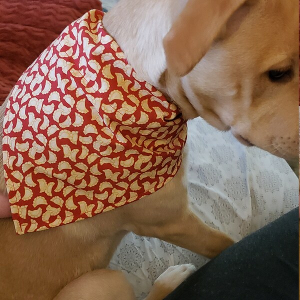 Butter Lamb Socks, Buffalo NY, Polish Socks, Dyngus Day, Butter Lamb ...