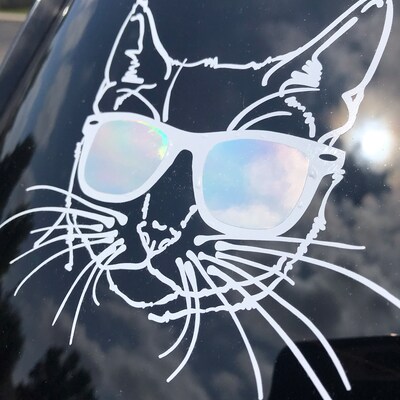 Cat Decal, Vinyl Decal, Car Decal, Bumper Sticker, 5 Decal - Etsy