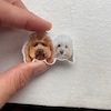 Custom Pet Pin Personalized Dog Acrylic Brooch Custom Cat Photo Jewelry ...