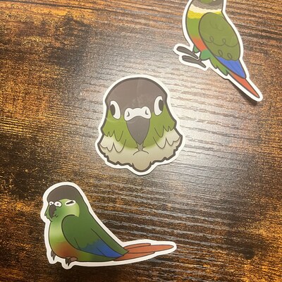 Budgie Meme Stickers - Etsy