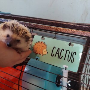 Personalized Hedgehog Name Plate / Hedgehog Sign / Cage Accessory ...