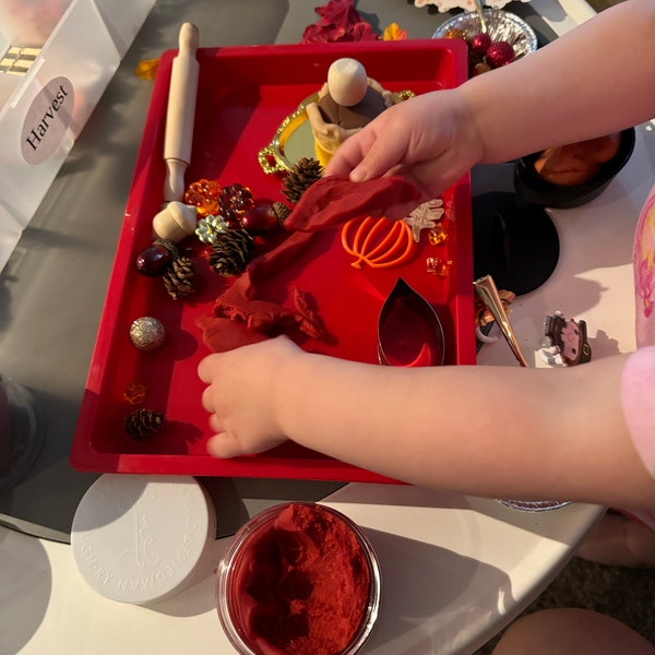 Reptile Play Dough Kit, Creatures Sensory Bin, Snake Lizard Turtle ...