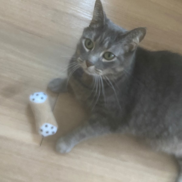 Catnip Cannoli Cat Toy - Etsy