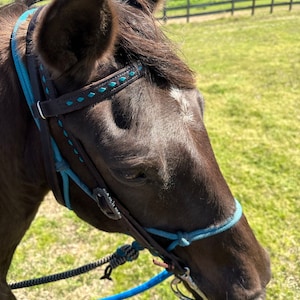 Original Red & Cheetah Tack Set USA Made Bling Leather Tack Western ...