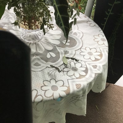 Ants Carved by Hand on the Silver Statue of Ancient Tibet in China - Etsy