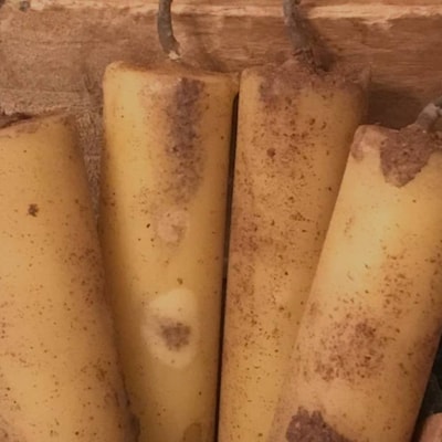 Primitive Spice Keep - Etsy